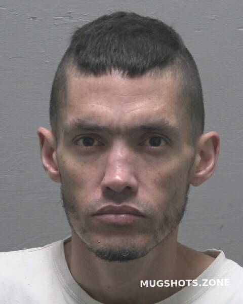 PLANADEBALL AXEL ALEXANDER 10/30/2023 - New Hanover County Mugshots Zone