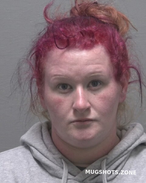 ROBERSON MOLLI PAIGE 11/03/2023 - New Hanover County Mugshots Zone