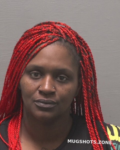 BROWN SHARI NICOLE 11/15/2023 - New Hanover County Mugshots Zone