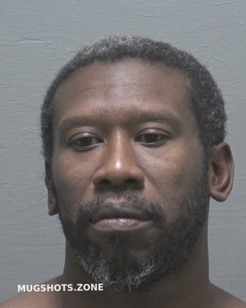 BELLE JAMAR LEE 11/16/2023 - New Hanover County Mugshots Zone