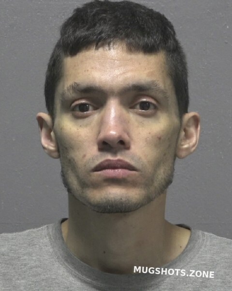 PLANADEBALL AXEL ALEXANDER 11/17/2023 - New Hanover County Mugshots Zone