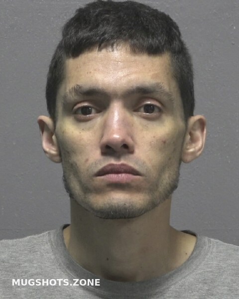 PLANADEBALL AXEL ALEXANDER 11/29/2023 - New Hanover County Mugshots Zone