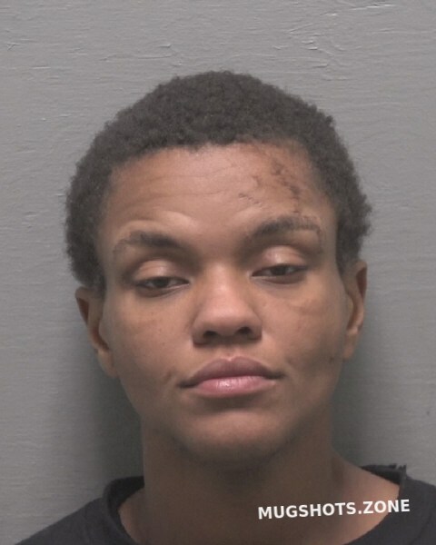 HOWARD GRAYSON SEMAJ CHERYL 01/23/2024 - New Hanover County Mugshots Zone