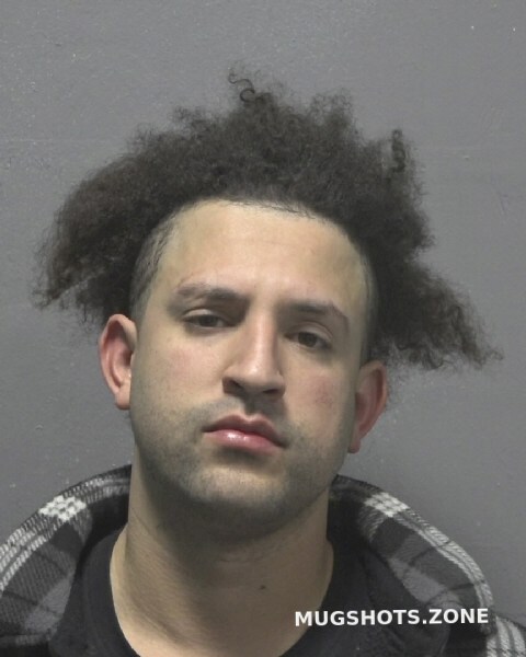 ALSTON TYLER JAMES 02/01/2024 - New Hanover County Mugshots Zone