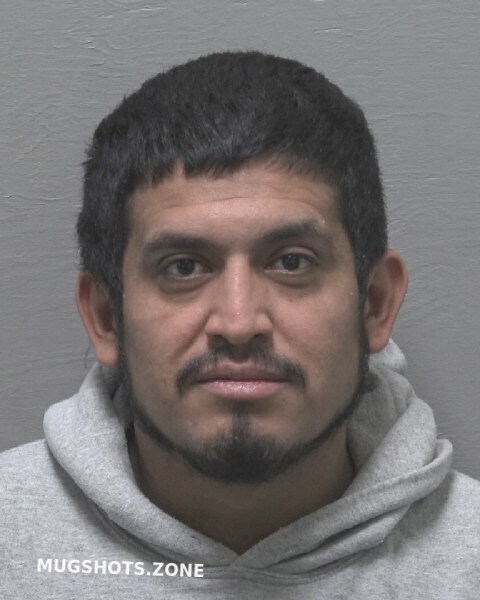 LUNA GENARO JIMENEZ 02/08/2024 - New Hanover County Mugshots Zone