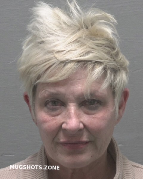 FRAZIER TRACEY RENEE 03/11/2024 - New Hanover County Mugshots Zone