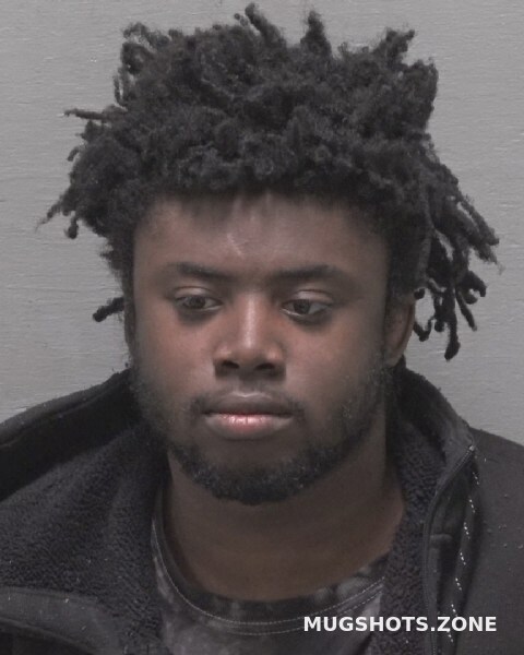 ROGERS ALLEN LOUIS 03/13/2024 - New Hanover County Mugshots Zone