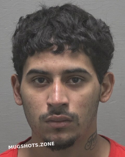 TORRES-CARRANZA HOSTIN JOAN 03/22/2024 - New Hanover County Mugshots Zone