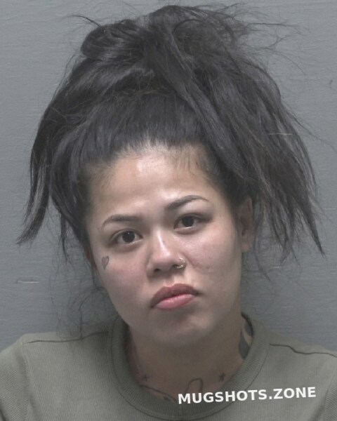 PHILLIPS VANI LEE 05/24/2024 - New Hanover County Mugshots Zone