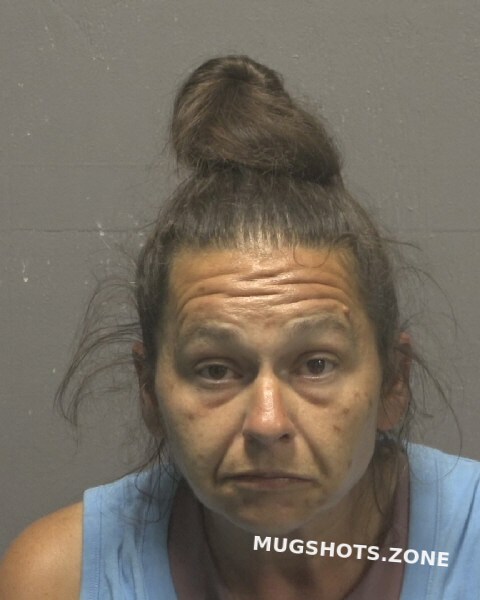 ROGERS TRACEY LYNNE 06/08/2024 - New Hanover County Mugshots Zone