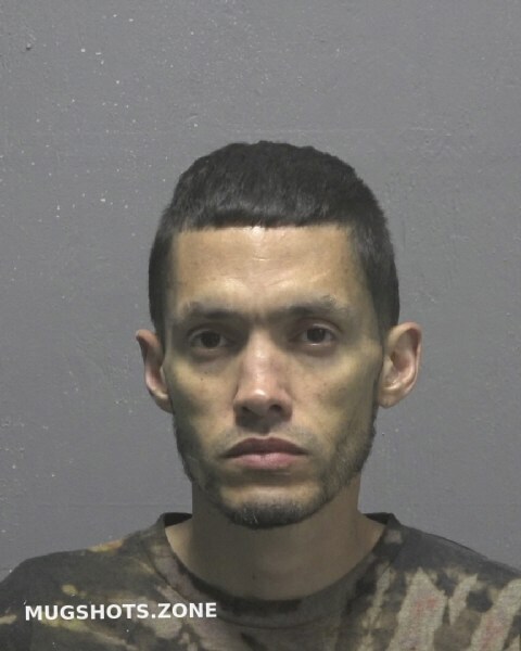 PLANADEBALL AXEL ALEXANDER 06/14/2024 - New Hanover County Mugshots Zone