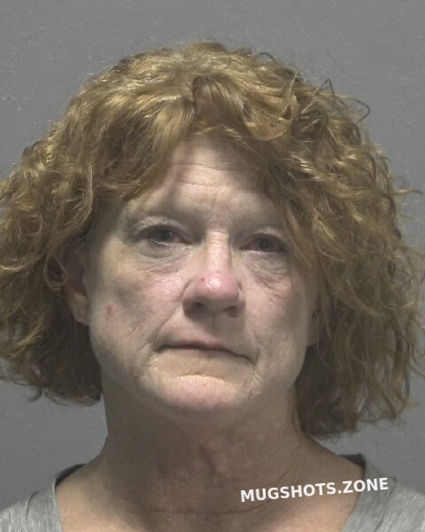 PULICE TRACEY TULL 09/22/2024 - New Hanover County Mugshots Zone