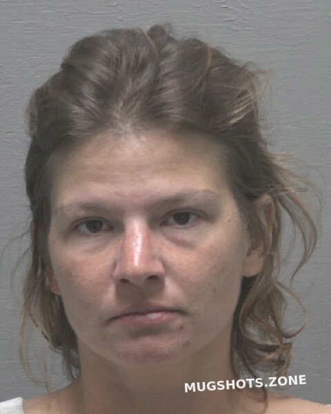 DELMOTTE JESSICA ANN 10/09/2024 - New Hanover County Mugshots Zone