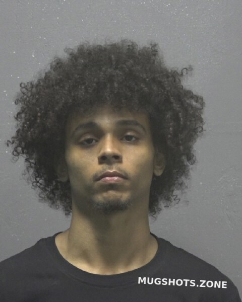 LATTA GARY LEE 10/31/2024 - New Hanover County Mugshots Zone