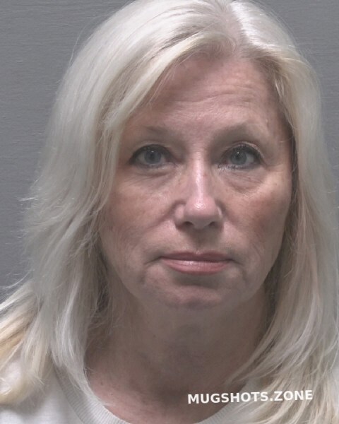 HOLLOWAY LISA BOST 11/12/2024 - New Hanover County Mugshots Zone