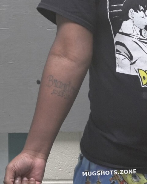 SMITH BRANDON DEVON 12/17/2024 - New Hanover County Mugshots Zone