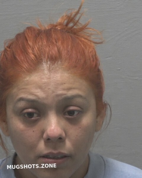 JUAREZ-BENITEZ SUSAN 01/01/2025 - New Hanover County Mugshots Zone