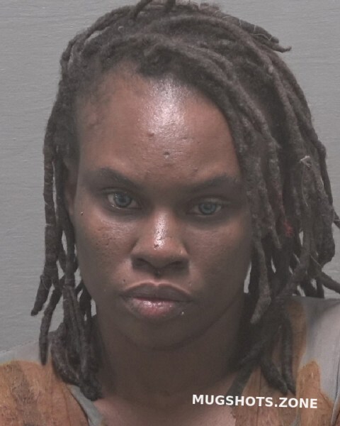 LITTLE LAQUISH SHONTAE 03/10/2025 - New Hanover County Mugshots Zone
