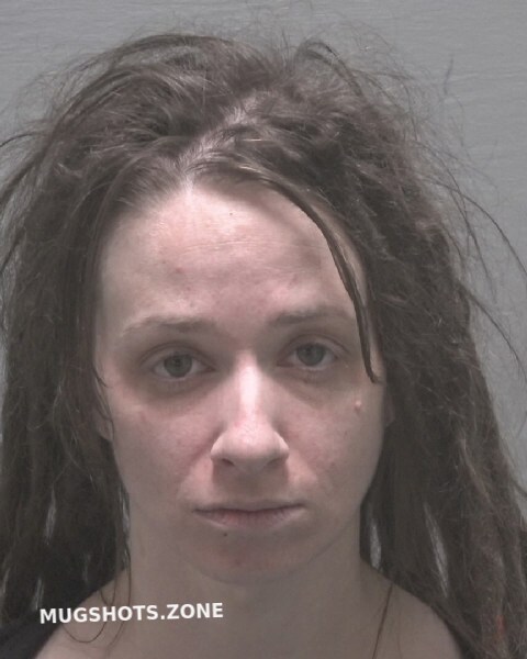 GOSSETT CHRISTA ELENA 03/11/2025 - New Hanover County Mugshots Zone