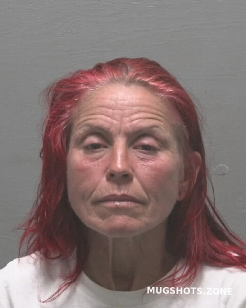 ALSPAUGH SANDI MICHELLE 03/15/2025 - New Hanover County Mugshots Zone