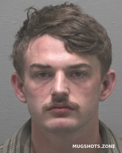 HOLT BRANDON MATTHEW 03/16/2025 - New Hanover County Mugshots Zone