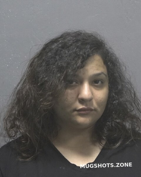 HUSSEIN SAWSAN ABDEL 03/20/2025 - New Hanover County Mugshots Zone