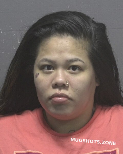 PHILLIPS VANI LEE 03/25/2025 - New Hanover County Mugshots Zone