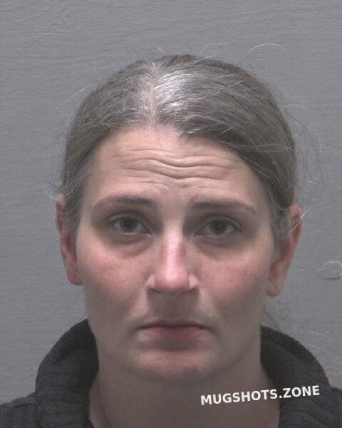 PROFFITT MEGAN RUTH 04/02/2025 - New Hanover County Mugshots Zone