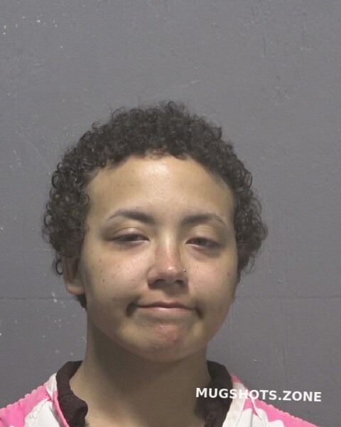 DAVIS ZADA CARMELLA RAY 04/20/2025 - New Hanover County Mugshots Zone