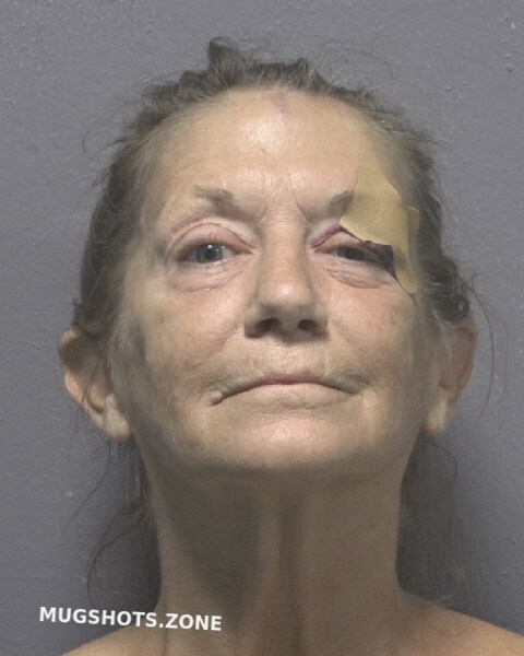 LITTLE RANDI LOUISE 04/26/2025 - New Hanover County Mugshots Zone