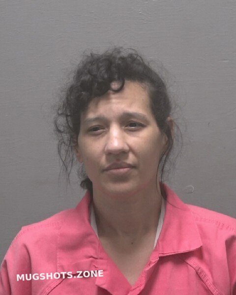 SKENANDORE REGINA LYNN 06/02/2025 - New Hanover County Mugshots Zone