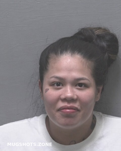 PHILLIPS VANI LEE 06/11/2025 - New Hanover County Mugshots Zone