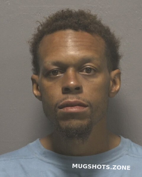 LLERENA PETER LEON 06/16/2025 - New Hanover County Mugshots Zone