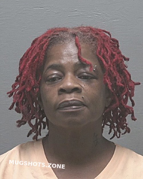 HOLMES RHONDA SHAW 08/20/2025 - New Hanover County Mugshots Zone