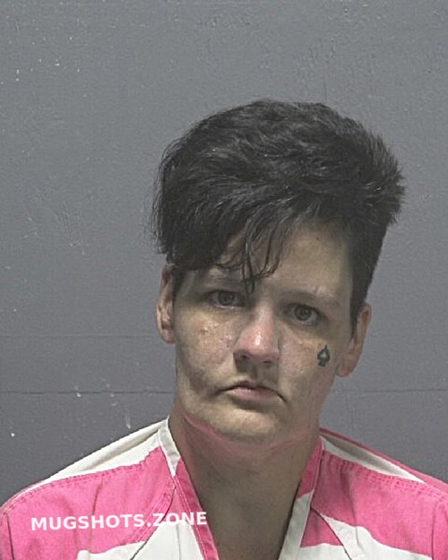 MOREHOUSE CARI ANN 08/23/2025 - New Hanover County Mugshots Zone