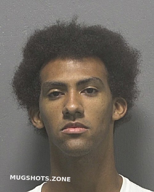 CARROLL GAVIN ELIJAH 08/25/2025 - New Hanover County Mugshots Zone