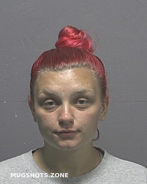 OHLSSON EMILY RUTH 10/10/2025 - New Hanover County Mugshots Zone