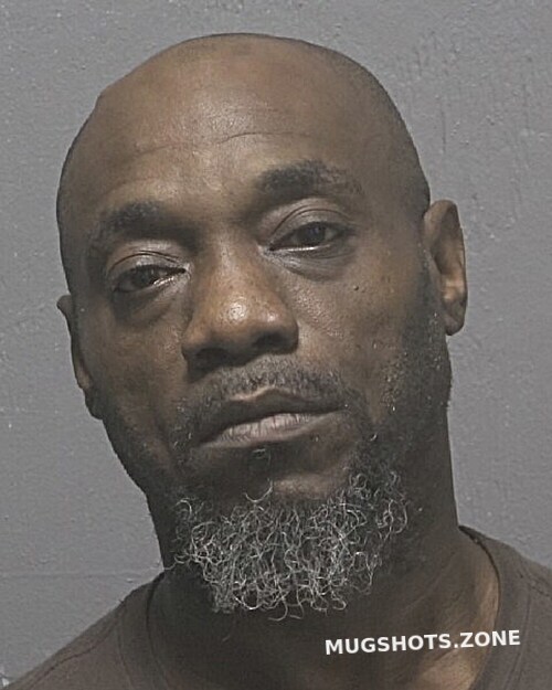 WILLIAMS TRACY LAMON 10/23/2025 - New Hanover County Mugshots Zone