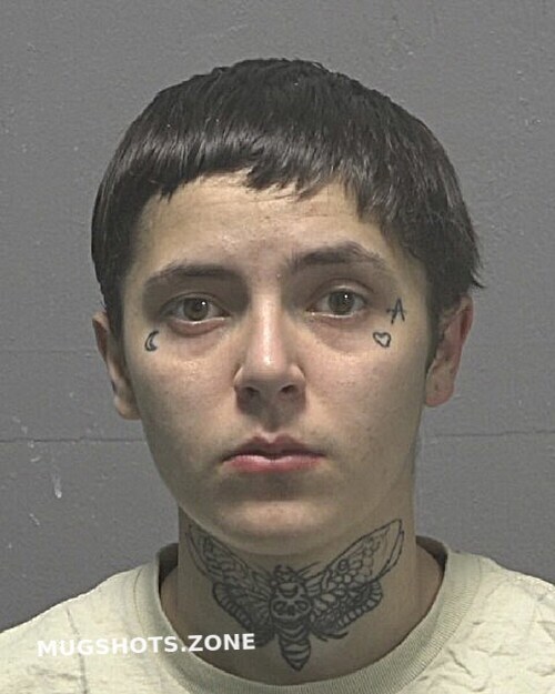 RODRIGUEZ DANIELLE 11/30/2025 - New Hanover County Mugshots Zone