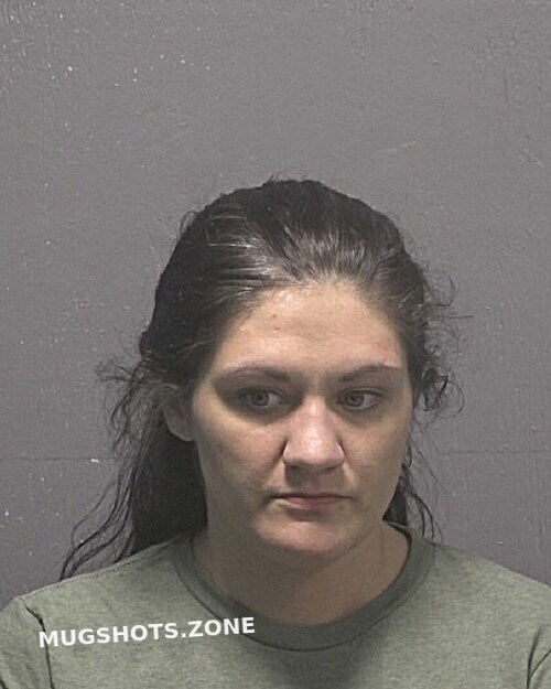 LONG AMANDA DANIELLE 12/18/2025 - New Hanover County Mugshots Zone