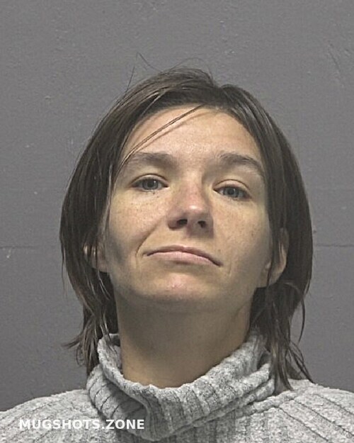 SAWYER SHANNON TAMERA 12/29/2025 - New Hanover County Mugshots Zone