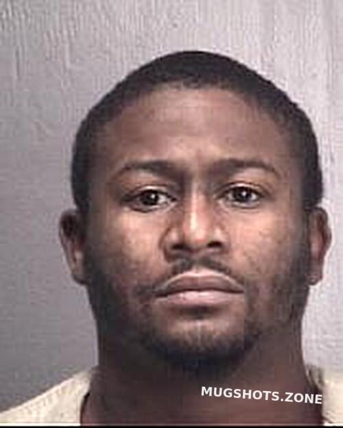 JOHNSON RICHARD ALEXANDER 02/17/2026 - New Hanover County Mugshots Zone