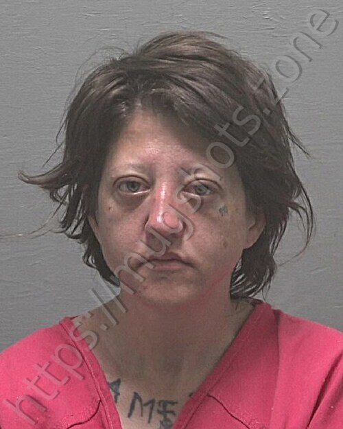 SUTTON MEGAN SUZANNE 04/09/2026 - New Hanover County Mugshots Zone