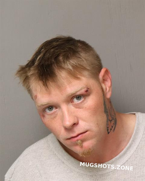 DAVIS SCOTTY SHANE 06/06/2023 - New River Valley Regional Jail Mugshots ...