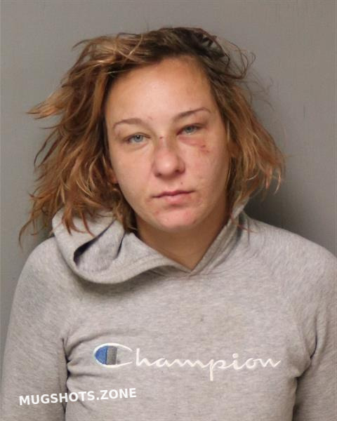 DICKENSON JULIA VALERA 10/24/2023 - New River Valley Regional Jail ...
