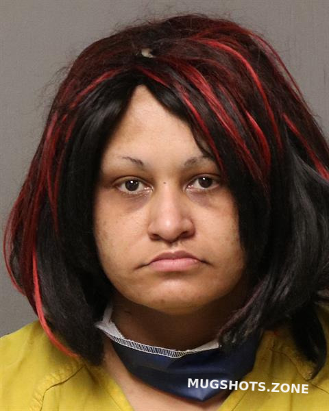 LANE TRACEY LYNN 10/31/2023 - New River Valley Regional Jail Mugshots Zone