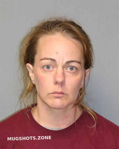 LONG STEPHANIE ANN 11/02/2023 - New River Valley Regional Jail Mugshots ...