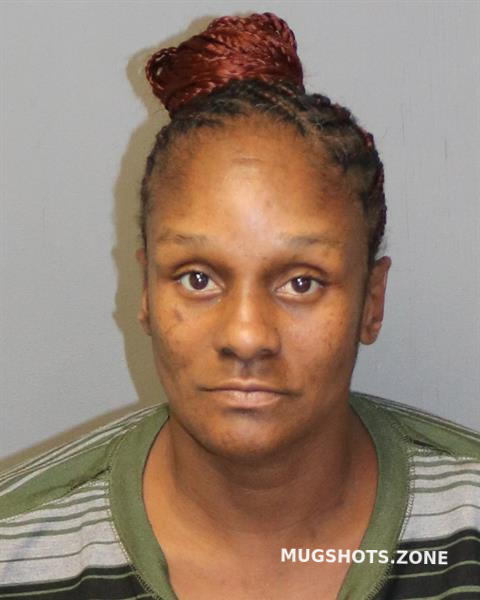 Skinner Jerri Catina 11 30 2023 New River Valley Regional Jail