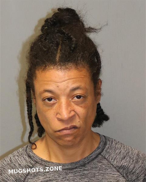 DOYLE SHANTEL YVETTE 01/29/2024 - New River Valley Regional Jail ...