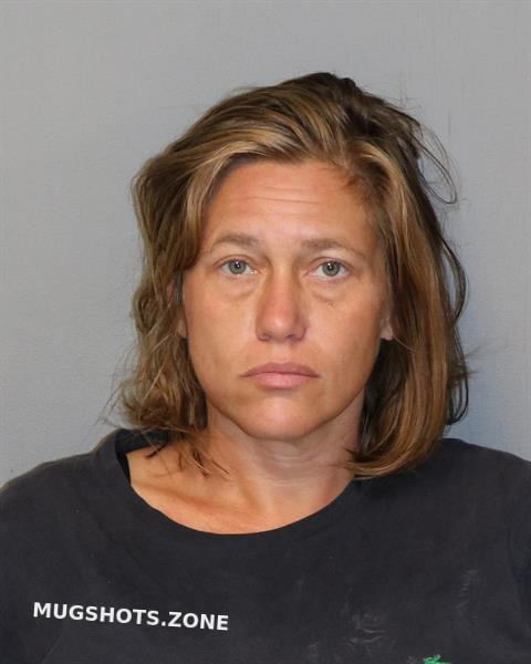 Stanley Lisa Lynn 02 05 2024 New River Valley Regional Jail Mugshots Zone